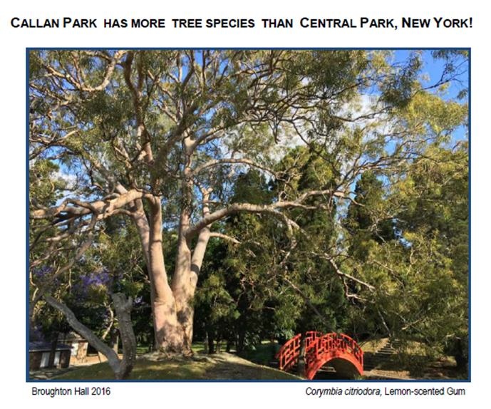 Friends of Callan Park