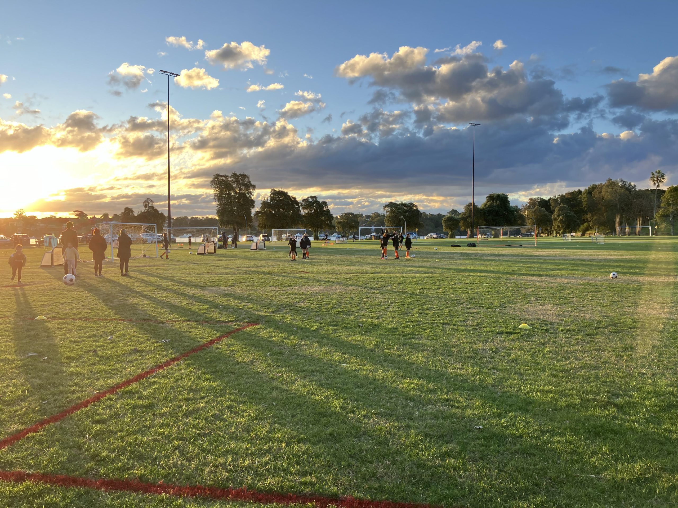 Kobi Shetty 's guide to objecting to Plastic Grass at Callan Park ...